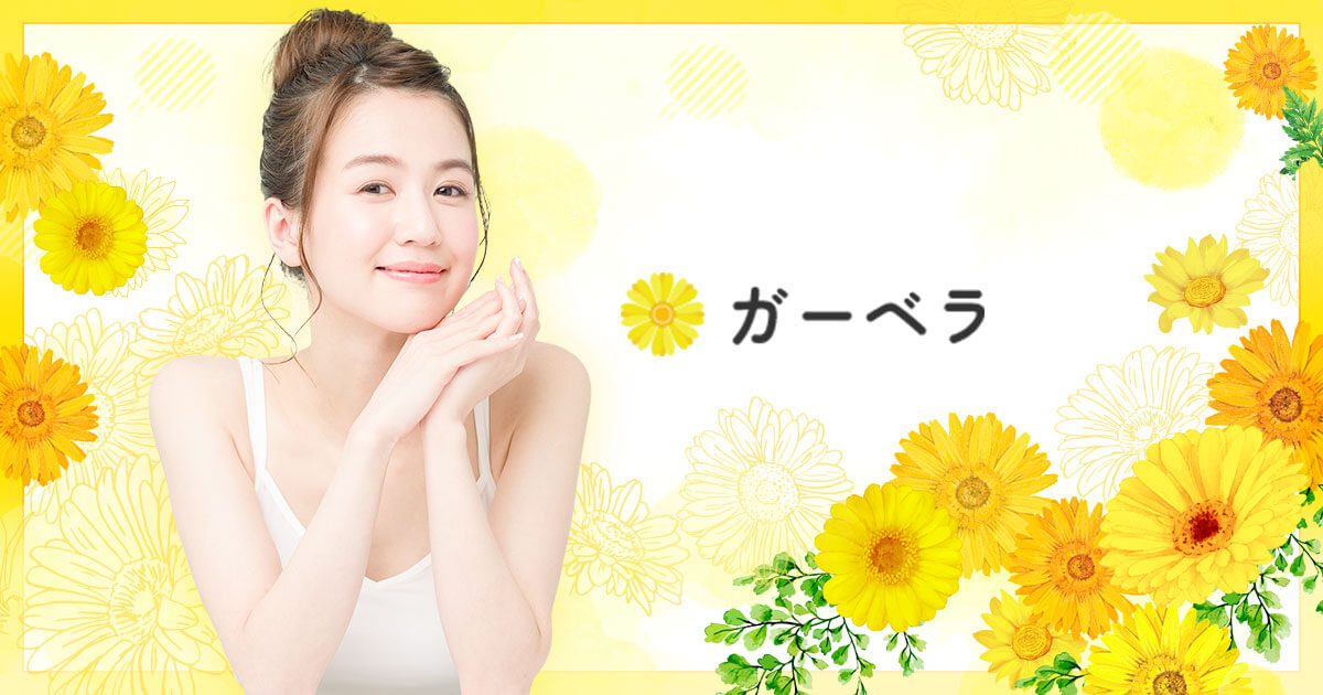 店舗情報 | ガーベラは、愛知県豊橋市で展開する美容エステサロンです。脱毛、ハイフをリーズナブルに。